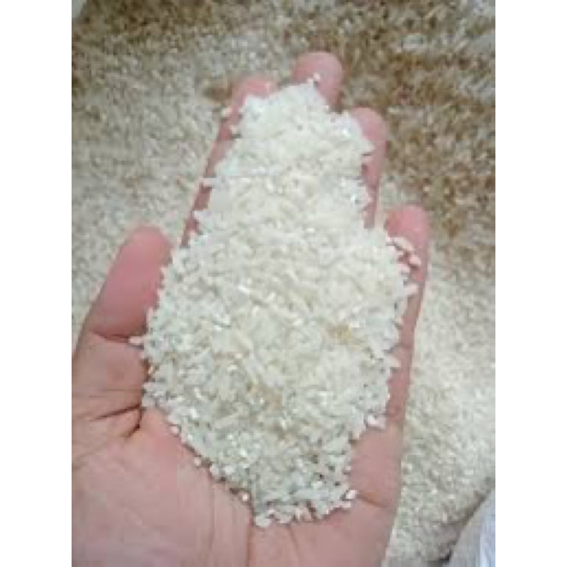 Jual Beras Pulen Beras Selepan / 1Kg Beras Murah Premium | Shopee Indonesia
