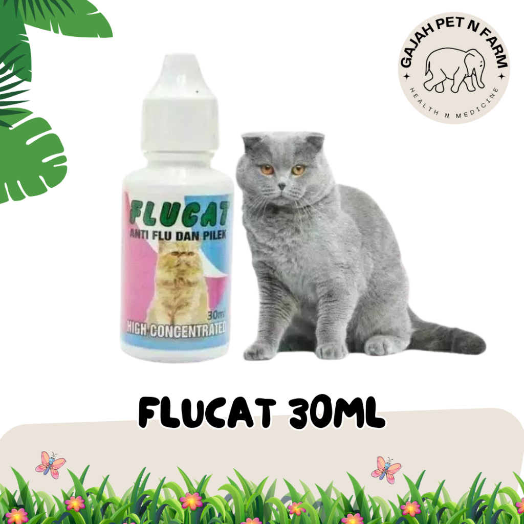 Jual FLUCAT DROP - Obat Kucing Anti Flu Pilek Beler Bersin Kitten Cat ...