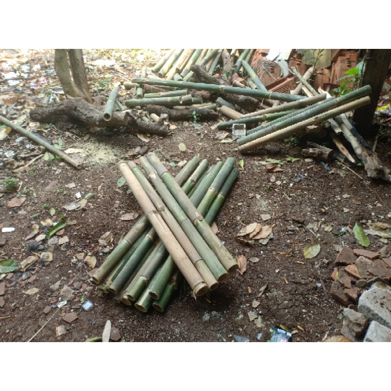 Jual Bambu bulat utuh panjang 1 meter | Shopee Indonesia