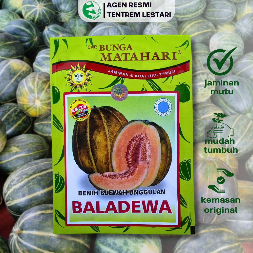 Jual Benih Blewah BALADEWA 20 Gram Cap Bunga Matahari Tidak Lembek ...