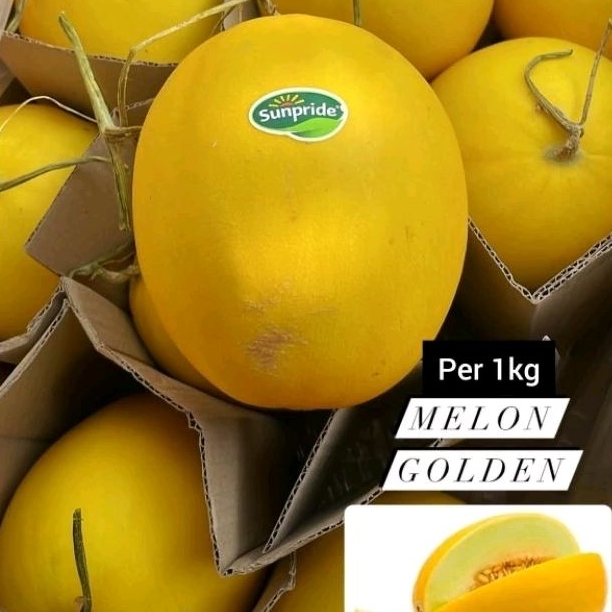 Jual Melon Golden 1kg | Shopee Indonesia