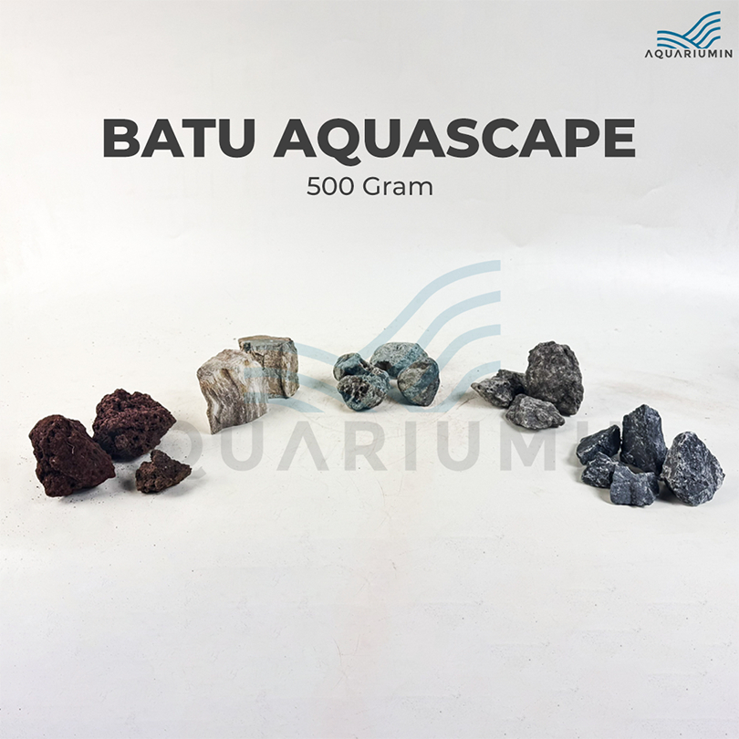 Jual Batu Aquascape Aquarium / Aquascape / Taman / Paludarium / Pot ...
