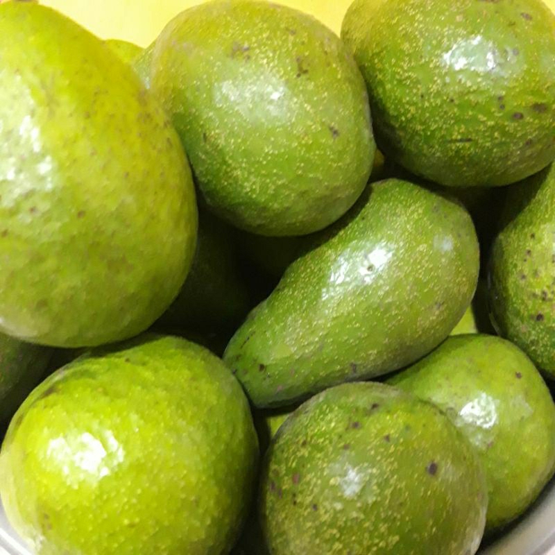 Jual buah alpukat super ukuran besar daging kuning tanpa serat 1kg isi ...