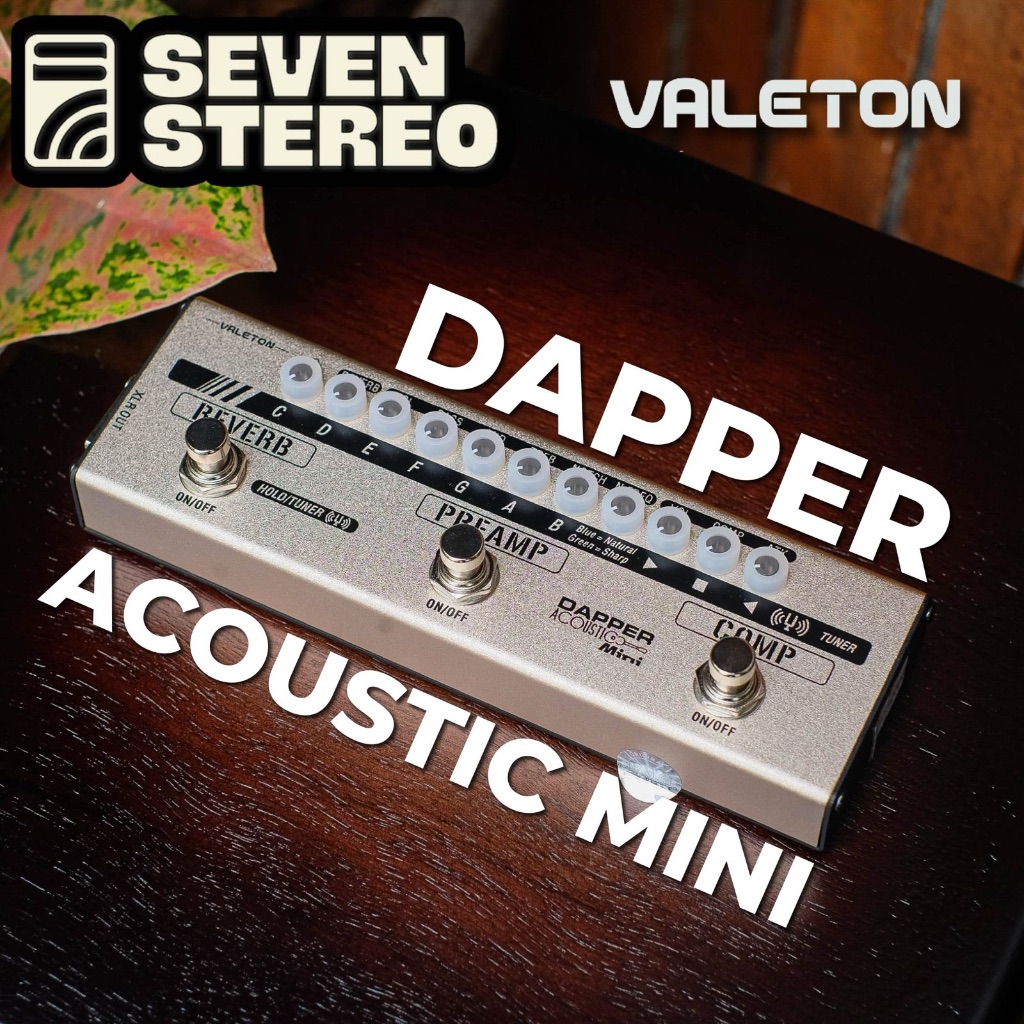 Jual Valeton Dapper Acoustic Mini Effect Strip | Shopee Indonesia