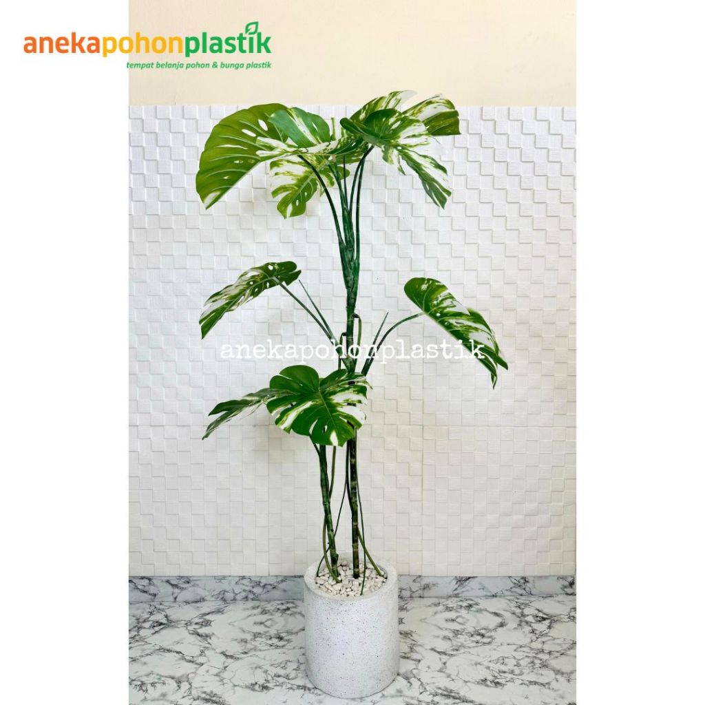 Jual Pohon Hias Tanaman Artificial Monstera Variegata T170 Latex Pot ...