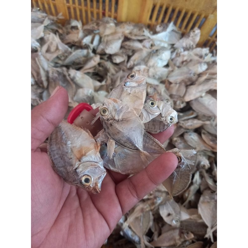 Jual ikan pirik kering tawar 250 gram | Shopee Indonesia