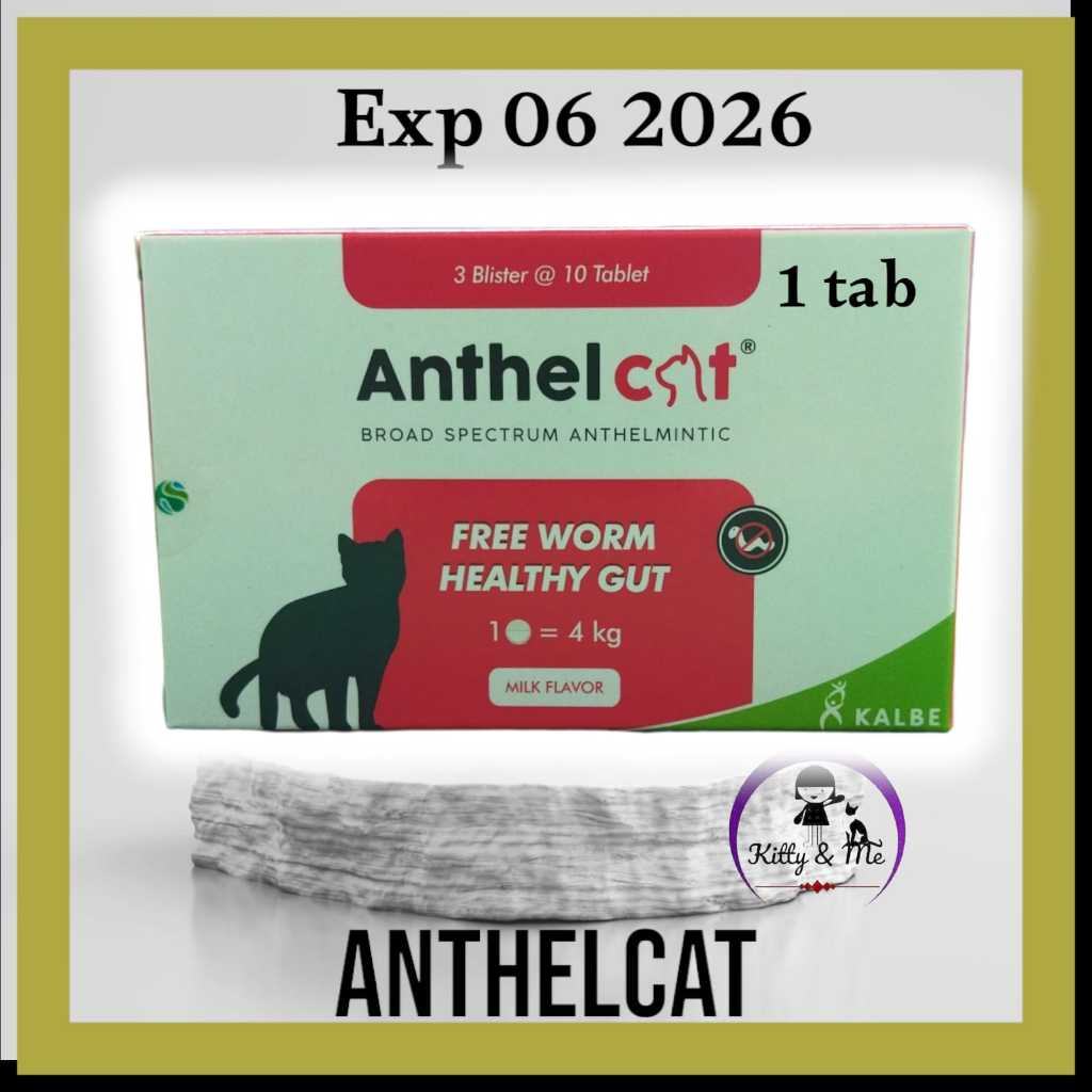 Jual ECER ANTHEL CAT (1 tablet) - Obat Cacing Kucing Per 1 Tablet Antel ...