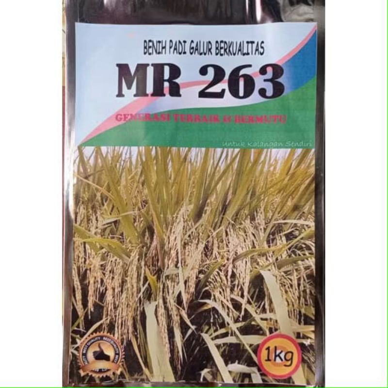 Jual Benih padi MR 263 Premium 1 kg | Shopee Indonesia