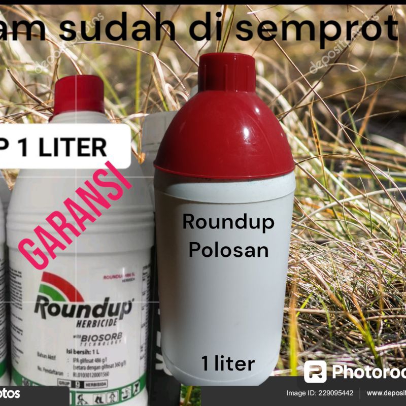 Jual Herbisida Roundup Sistemik Pembasmi Rumput 1 Liter / ROUNDUP ...