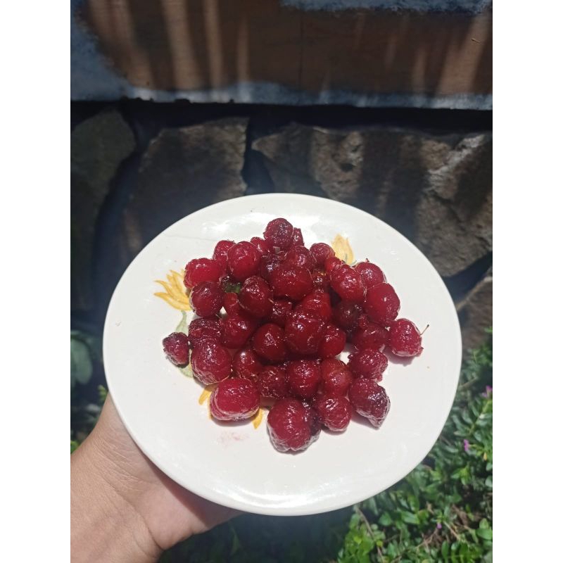 Jual MANISAN CERMAI KHAS WISATA GUCI 250g (COD) | Shopee Indonesia