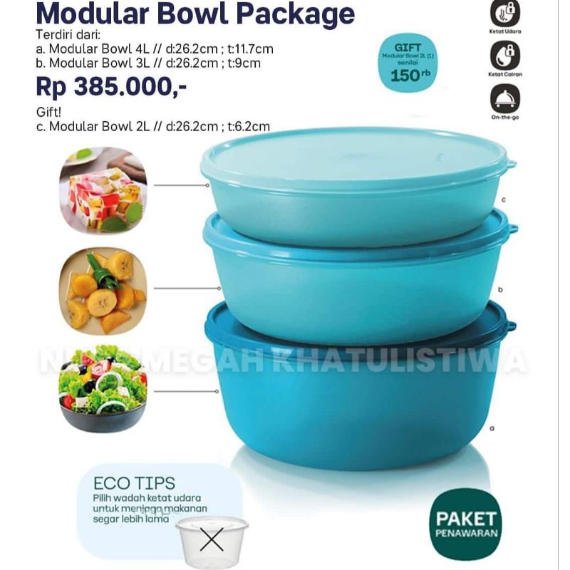 Jual ORIGINAL TUPPERWARE MODULAR BOWL PACKAGE | Shopee Indonesia