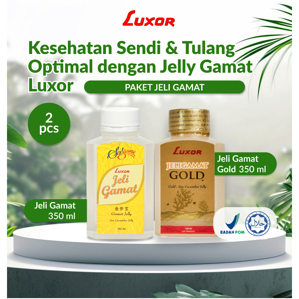 Jual Jelly Gamat Luxor Paket Gold + 350ml Original Ekstrak Teripang ...