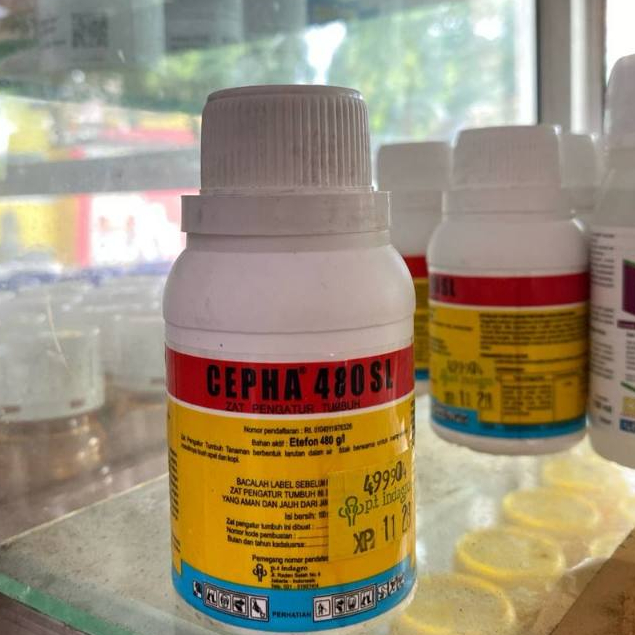 Jual Zat Pengatur Tumbuh Tanaman Cepha 480SL @100 ml | Shopee Indonesia