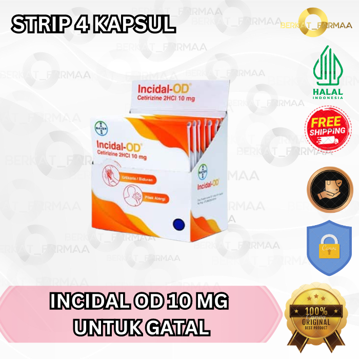Jual INCIDAL OD 10 MG BOX UNTUK GATAL | Shopee Indonesia