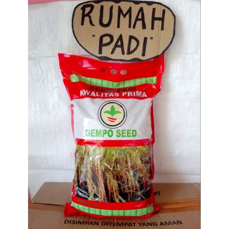 Jual BENIH PADI VARIETAS INPARI 32 KEMASAN 5 KG DEMPO SEED | Shopee Indonesia