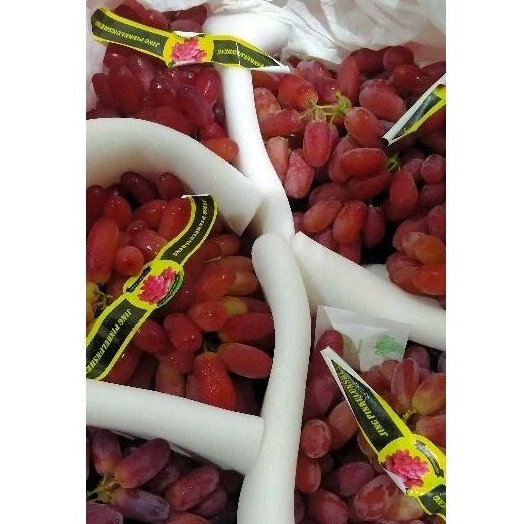 Jual Anggur Jari Terlengkap & Harga Terbaru Mei 2026 | Shopee Indonesia