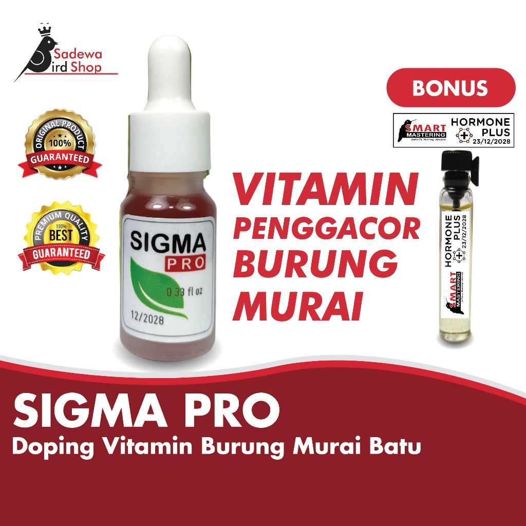Jual SIGMA PRO, DOPING VITAMIN PREMIUM DAN ATP DOSIS TINGGI UNTUK ...