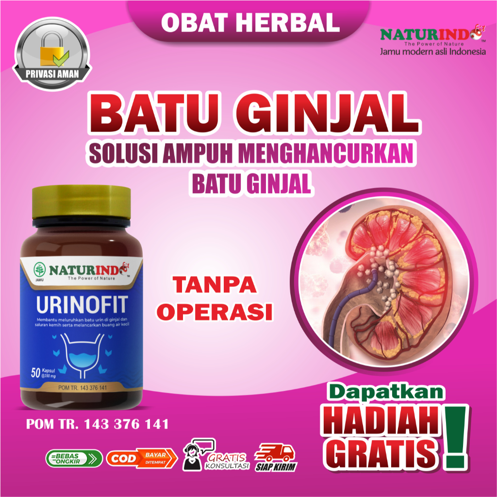 Jual Obat Batu Ginjal Kencing Batu Infeksi Saluran Kemih Herbal Ginjal Kencing Tidak Tuntas Obat ...