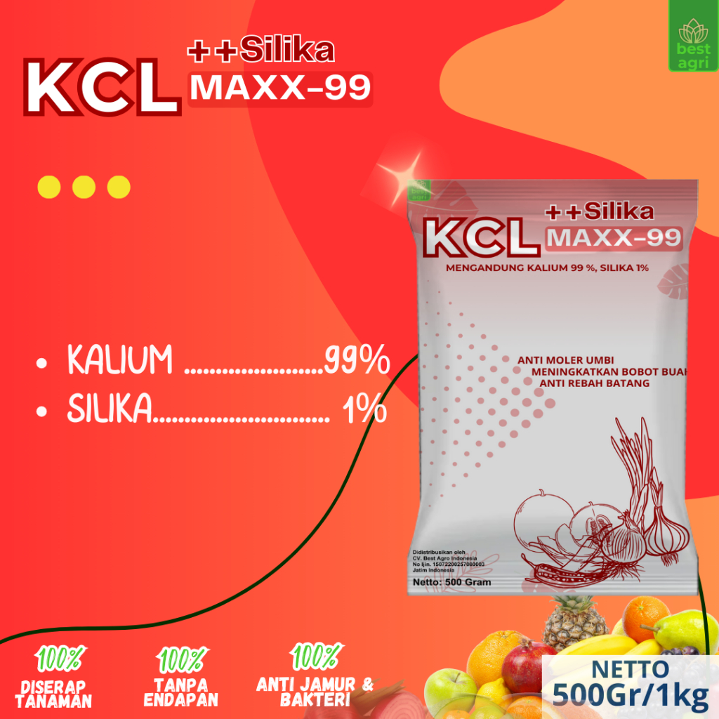 Jual KCL Maxx-99 500 Gram Pupuk Kalium Pemanis Buah Untuk Masa ...