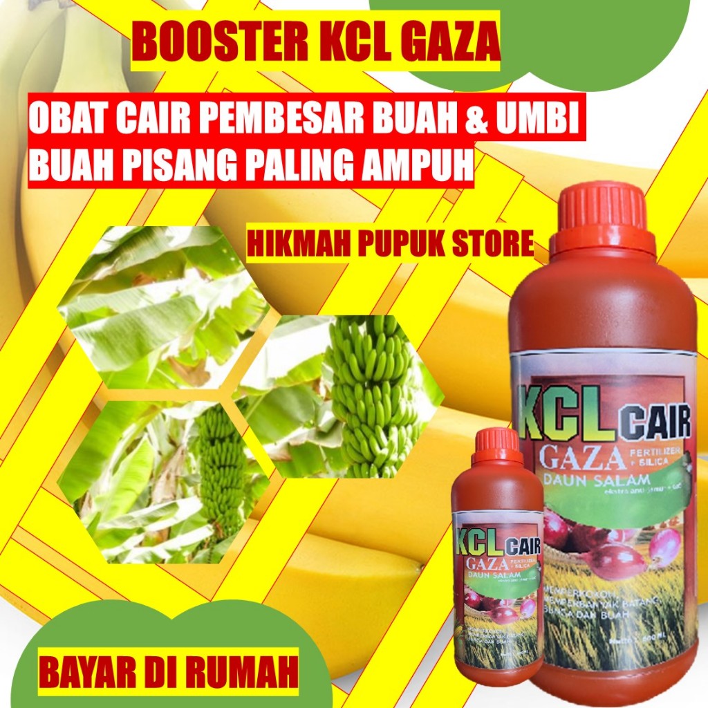 Jual BOOSTER PEMBESAR BUAH PISANG PALING AMPUH - Pupuk Pohon Pisang Biar Panen Banyak BIO KCL ...