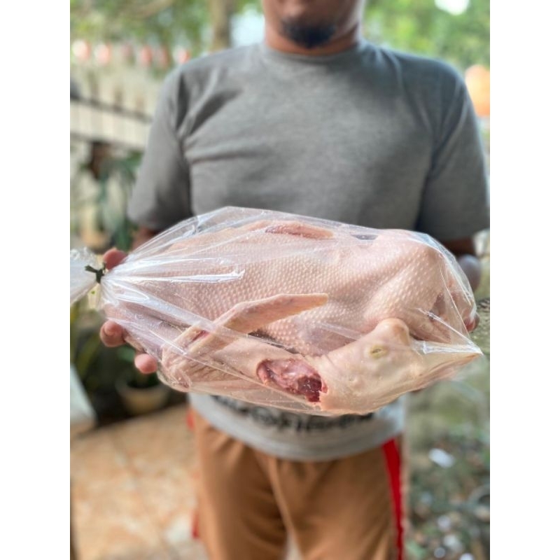 Jual Soang Potong Karkas Fresh atau Angsa Potong Karkas Fresh Segar ...