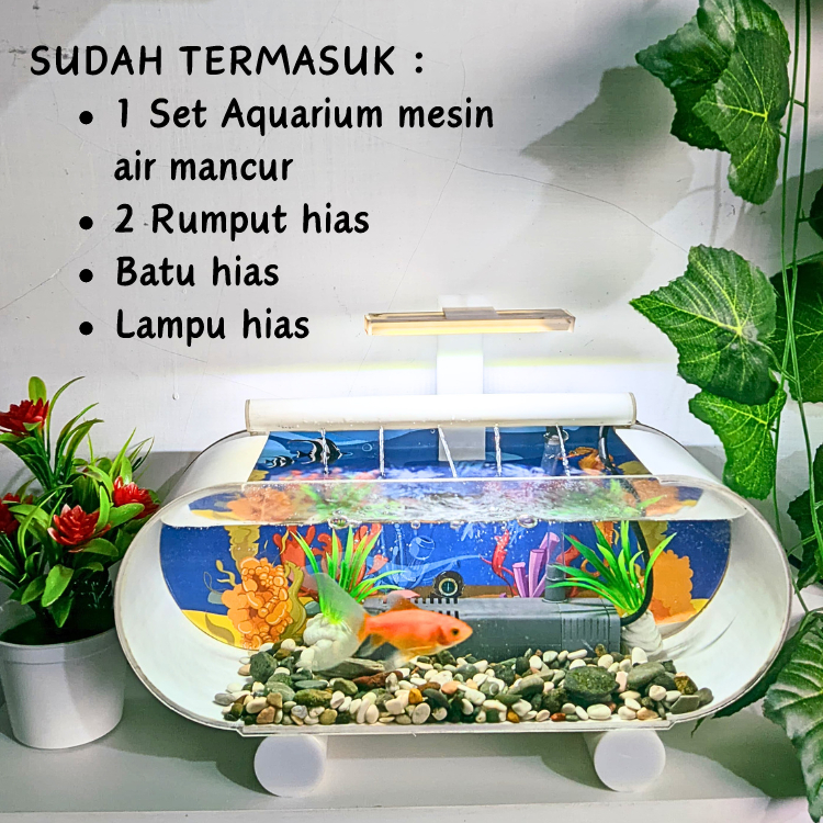 Jual Aquarium Mini Full set Dengan Pompa Dan Filter Aquarium Akrilik ...