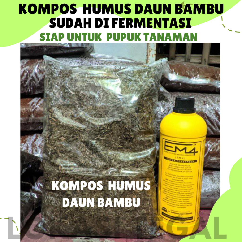 Jual Humus Bambu & Fermentasi Daun Bambu Media Tanam - BAGUS - PUPUK ...