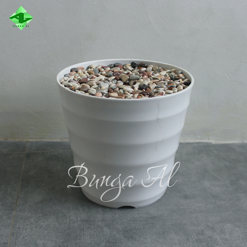 Jual Pot king mado 22 media busa batu pancawarna hiasan dekorasi ruang ...