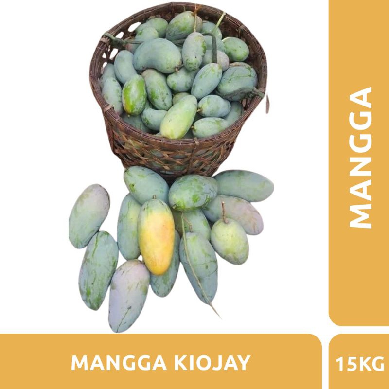 Jual MANGGA KIOJAY 15KG | Shopee Indonesia