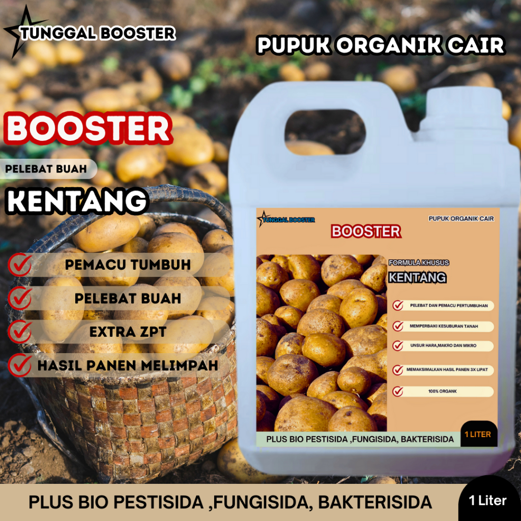 Jual PUPUK ORGANIK CAIR TANAMAN KENTANG, BOOSTER PELEBAT BUAH KENTANG ...