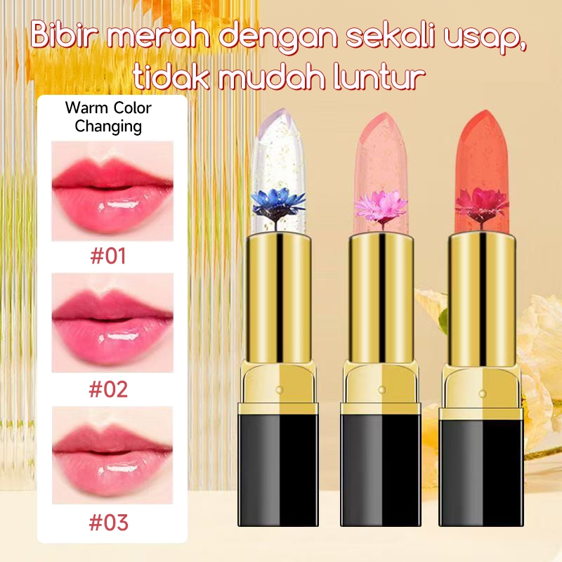 Jual Lip Lipstick Jelly Bunga Transparan Kosmetik Bibir Lipstik Yang ...