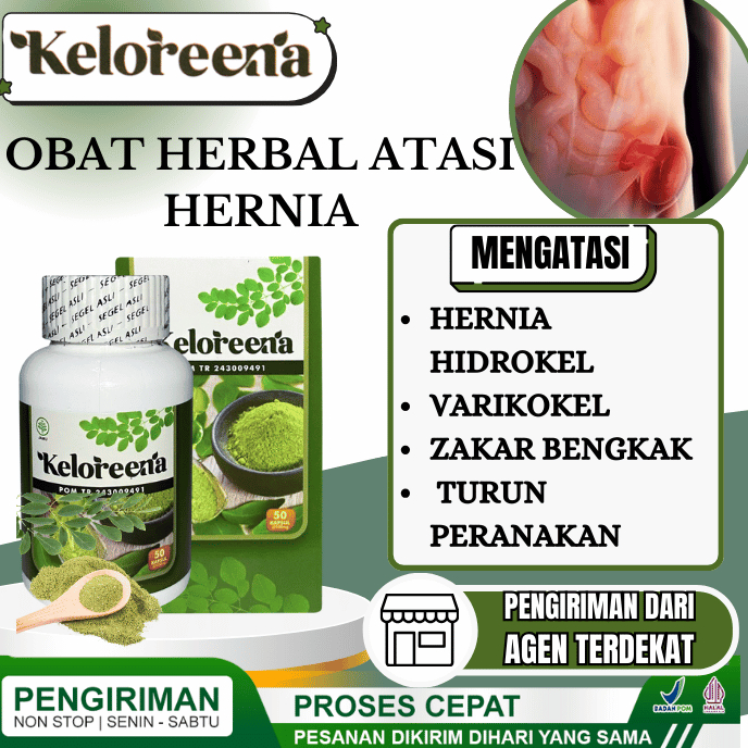Jual Obat Hernia Turun Berok Peranakan Varikokel Hidrokel Buah Zakar ...
