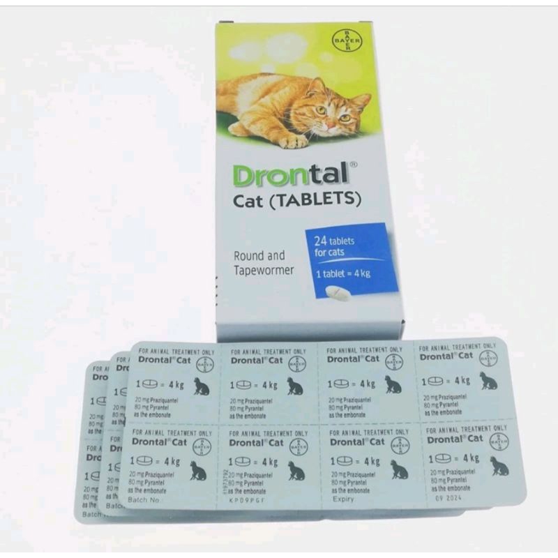 Jual Drontal Cat 1 Tablet Obat Cacing Kucing Dewormer Origonal | Shopee ...