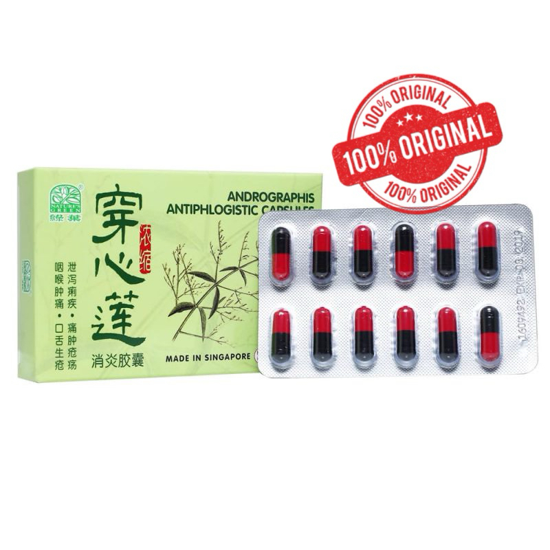 Jual Chuan Xin Lian Singapore Andrographis Antiphlogistic 24capsules ...