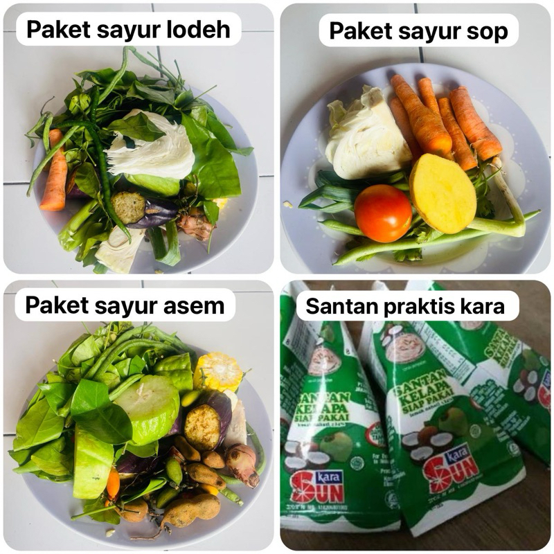 Jual Paket sayur sop , sayur lodeh dan sayur asem serta santan | Shopee ...