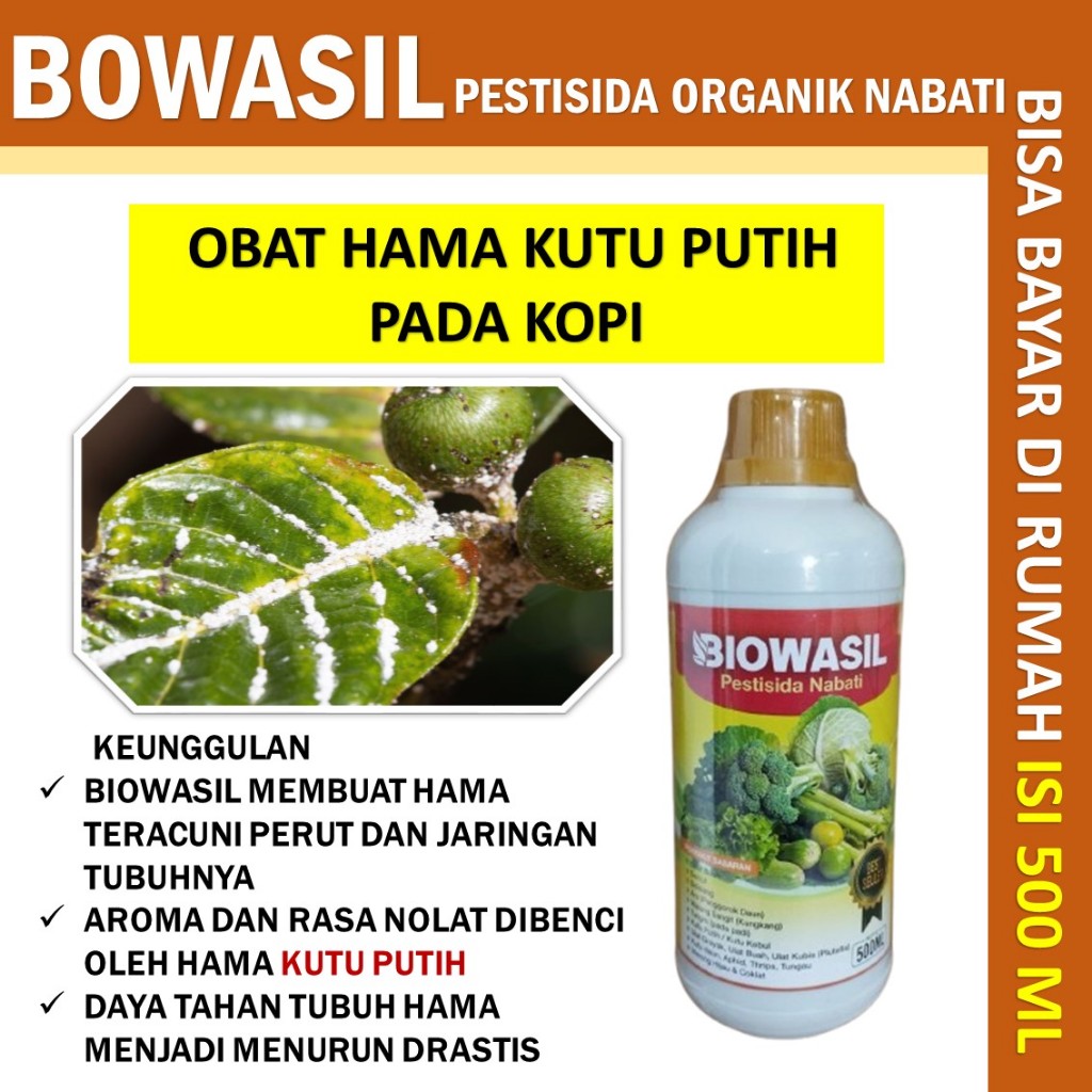 Jual Obat Semprot Hama Kutu Kebul untuk Semua Tanaman Bagus -obat hama ...
