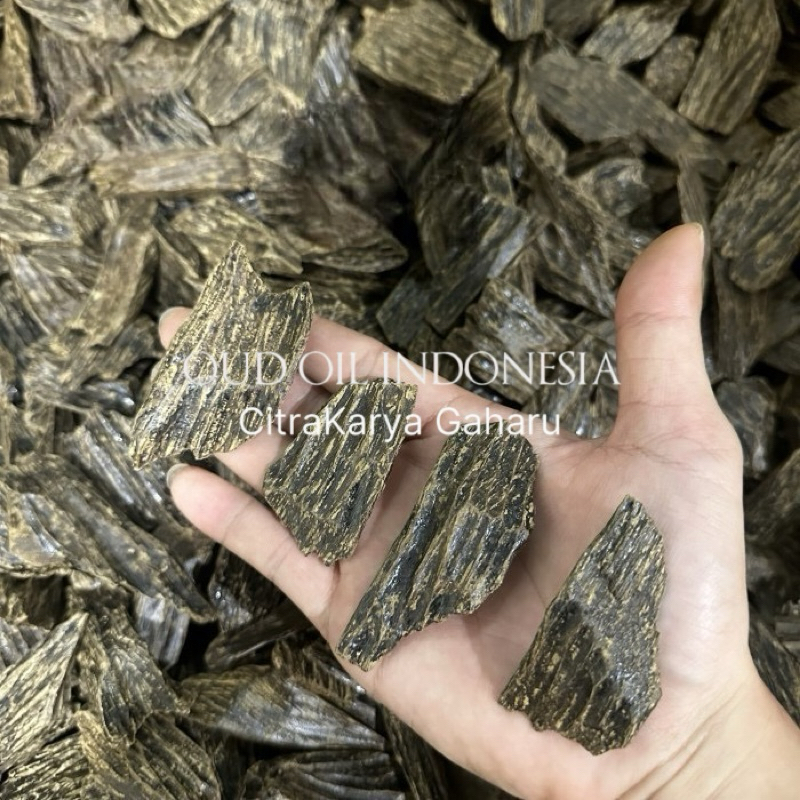Jual Kayu Gaharu Oud Muhassan Sanaii Kalimantan KLM SP | Shopee Indonesia