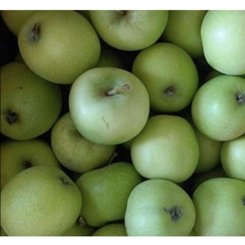 Jual Apel Hijau Import Fresh Segar | Shopee Indonesia