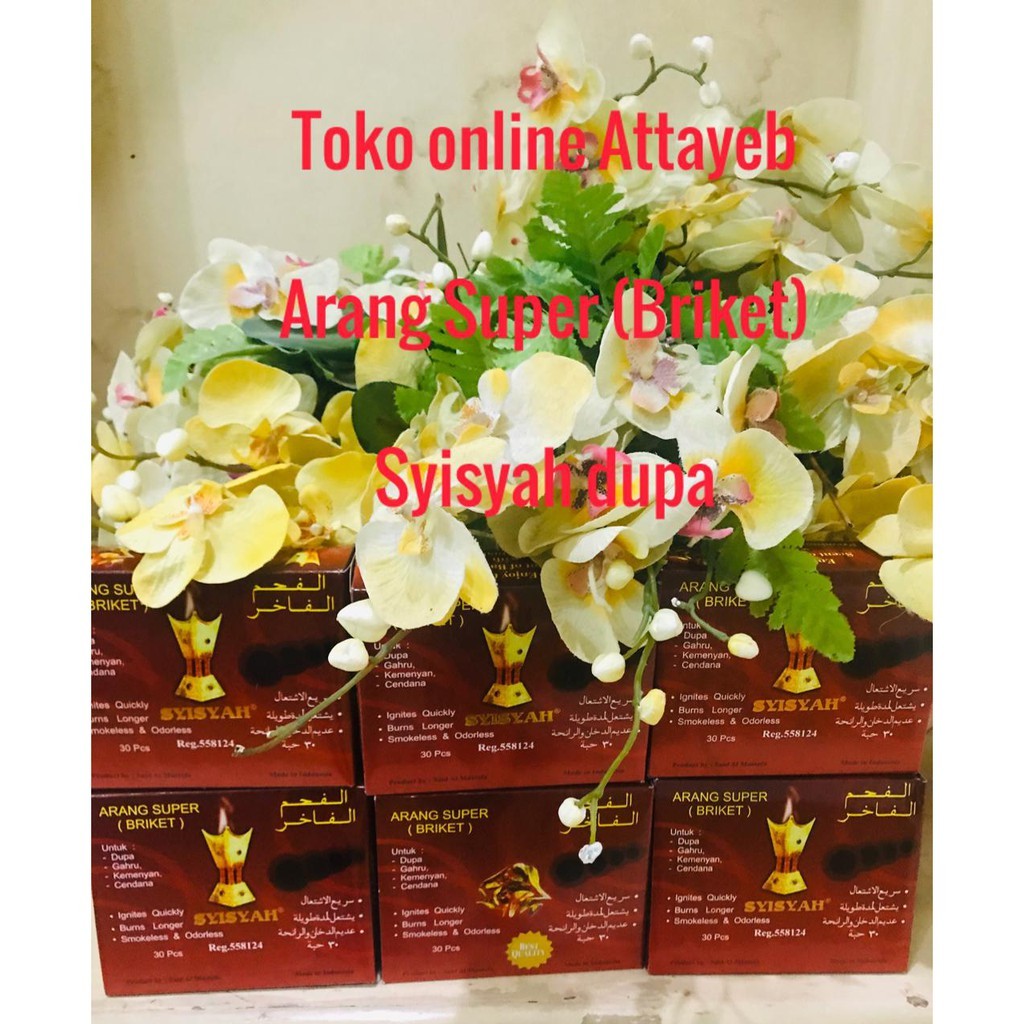 Jual ARANG SYISYAH SUPER SYISYAH isi 30 PSC (Briket) buat Bakar Dupa ...