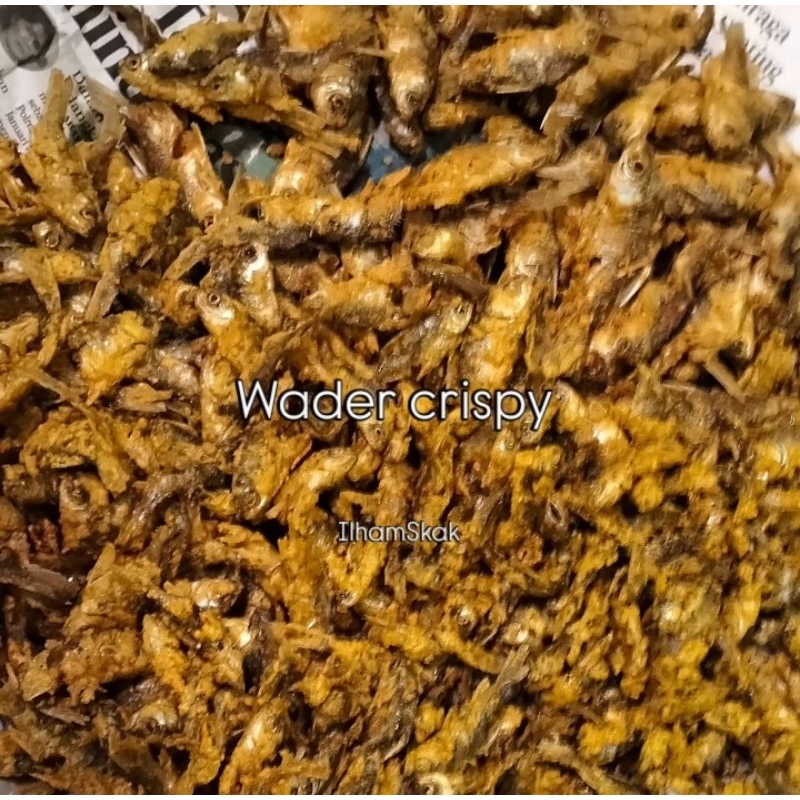 Jual WADER GORENG IKAN WADER CRISPY 1 KG | Shopee Indonesia