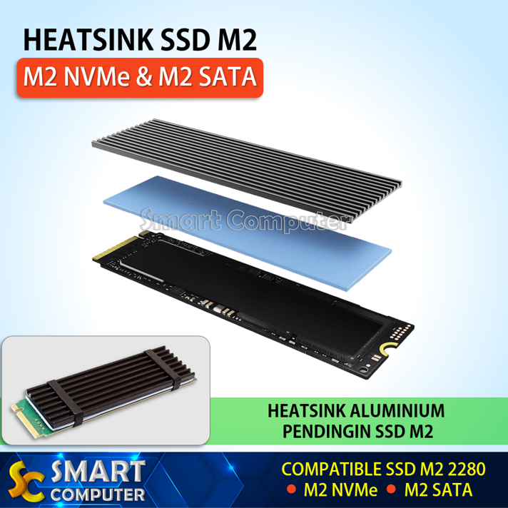 Jual Heatsink SSD M2 NVMe M2 Sata NGFF Thermal Pad Pendingin SSD M.2 ...