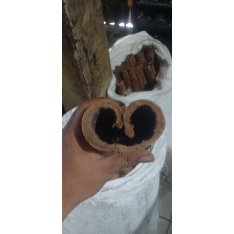 Jual Kulit kayu raru padang 1kg | Shopee Indonesia