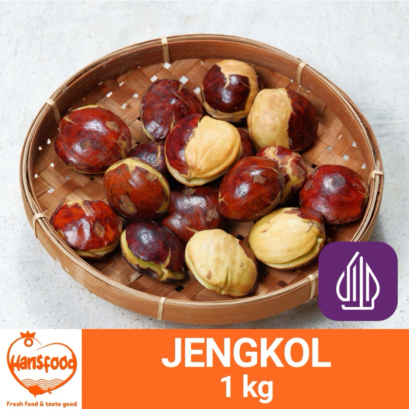 Jual Jengkol 500 gr-1 kg | Shopee Indonesia