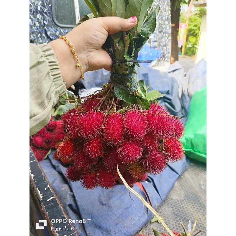 Jual RAMBUTAN LOKAL MANIS 1 IKAT BB ±2KG | Shopee Indonesia