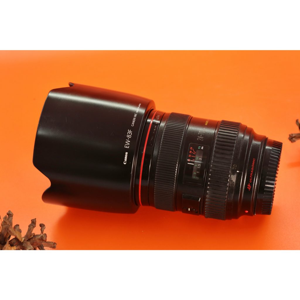 Jual Canon EF 24-70mm F2.8 L USM Unit Only C529 | Shopee Indonesia