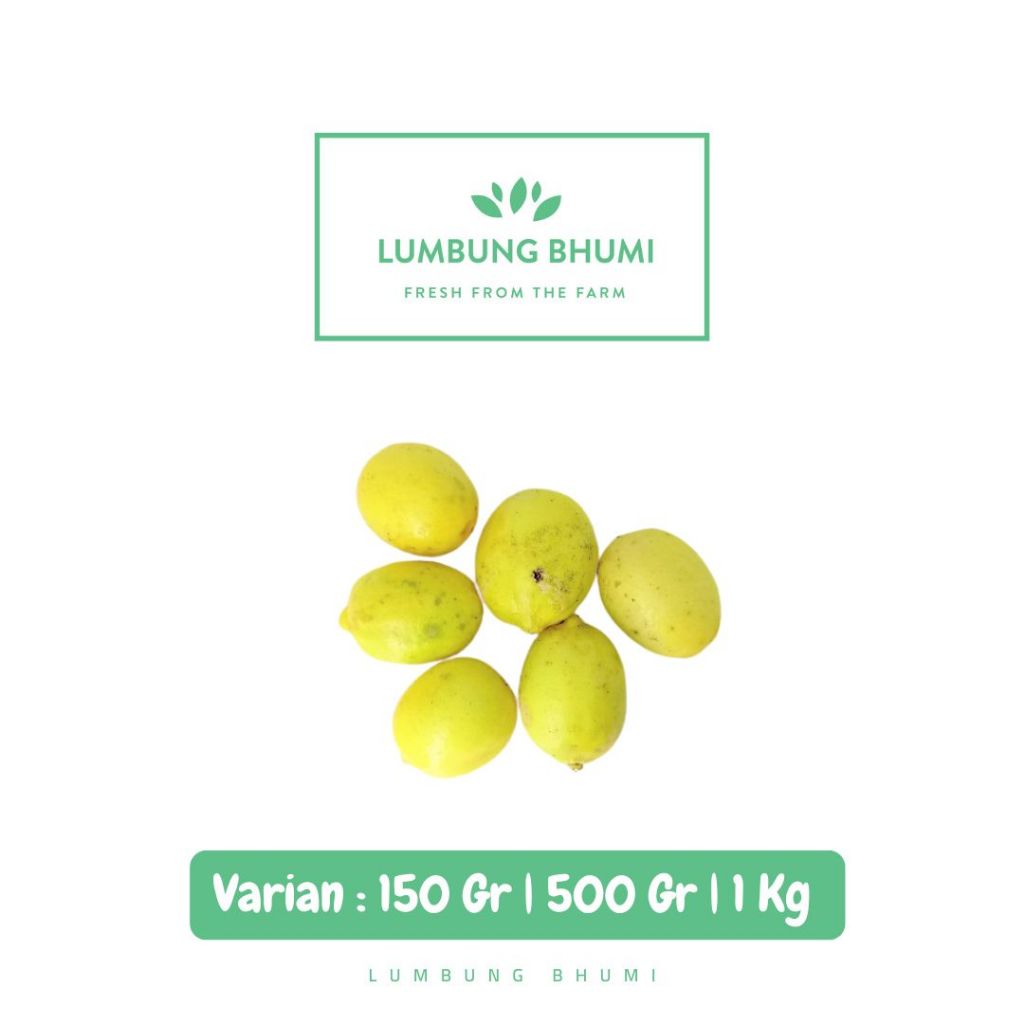 Jual Jeruk Lemon Lokal Sitrun Buah - Lumbung Bhumi | Shopee Indonesia