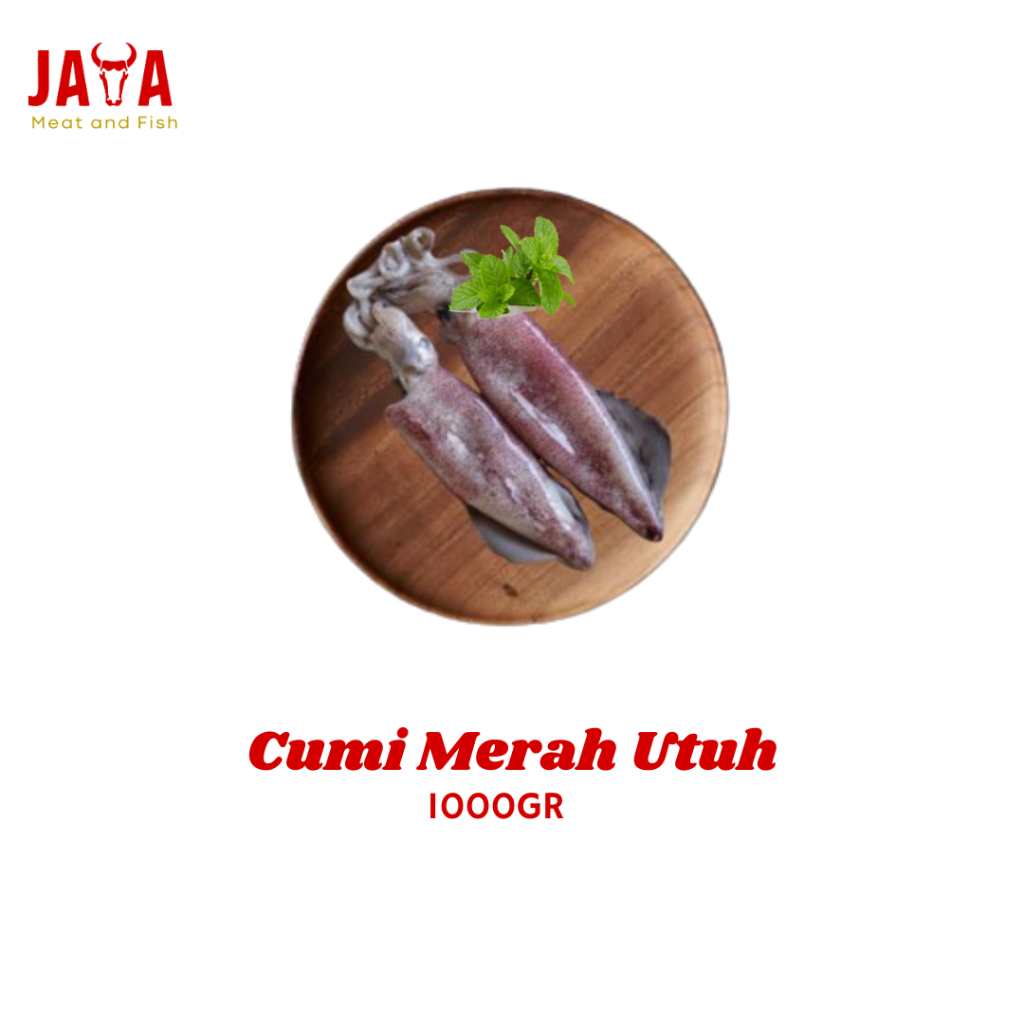 Jual Cumi Merah Segar 1 Kg | Cumi Besar Fresh 1 Kg | Shopee Indonesia