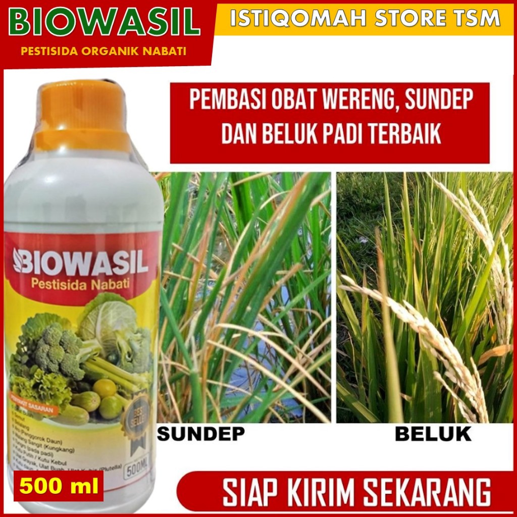 Jual Insektisida BIOWASIL 500 ML obat Hama Wereng Sundep Beluk untuk ...