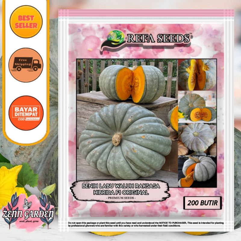 Jual 1 Pack (200 Butir) Benih Labu Waluh Raksasa Hibrida F1 Original ...