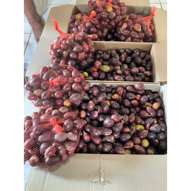 Jual Buah Matoa Merah Daging Super Tebal 1kg Fresh Buah Tiga Rasa ...